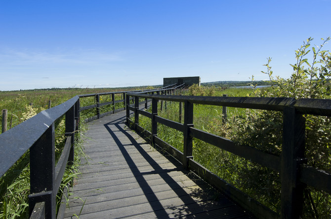 Standard Recycled Plastic Bridge > Bridges > Boardwalk | Products ...