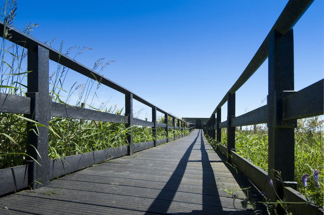 Standard Recycled Plastic Bridge > Bridges > Boardwalk | Products ...